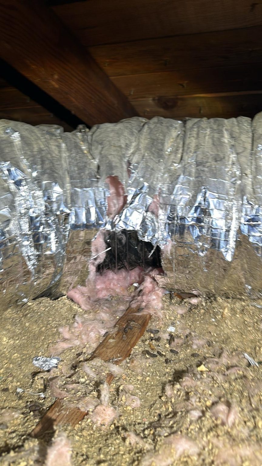 NEO Attic Solutions – Professional Cleaning and Attic Insulation in Los ...