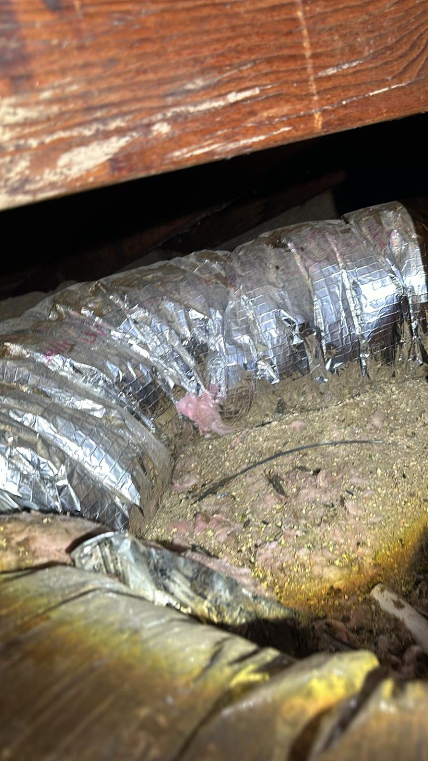 NEO Attic Solutions – Professional Cleaning and Attic Insulation in Los ...